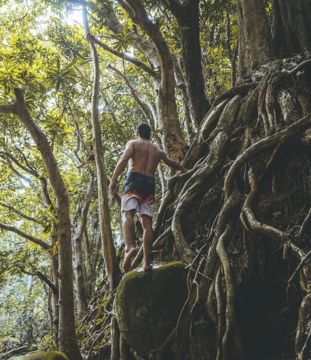 Top Things To Do in Mauritius | Complete Guide for 2024/2025